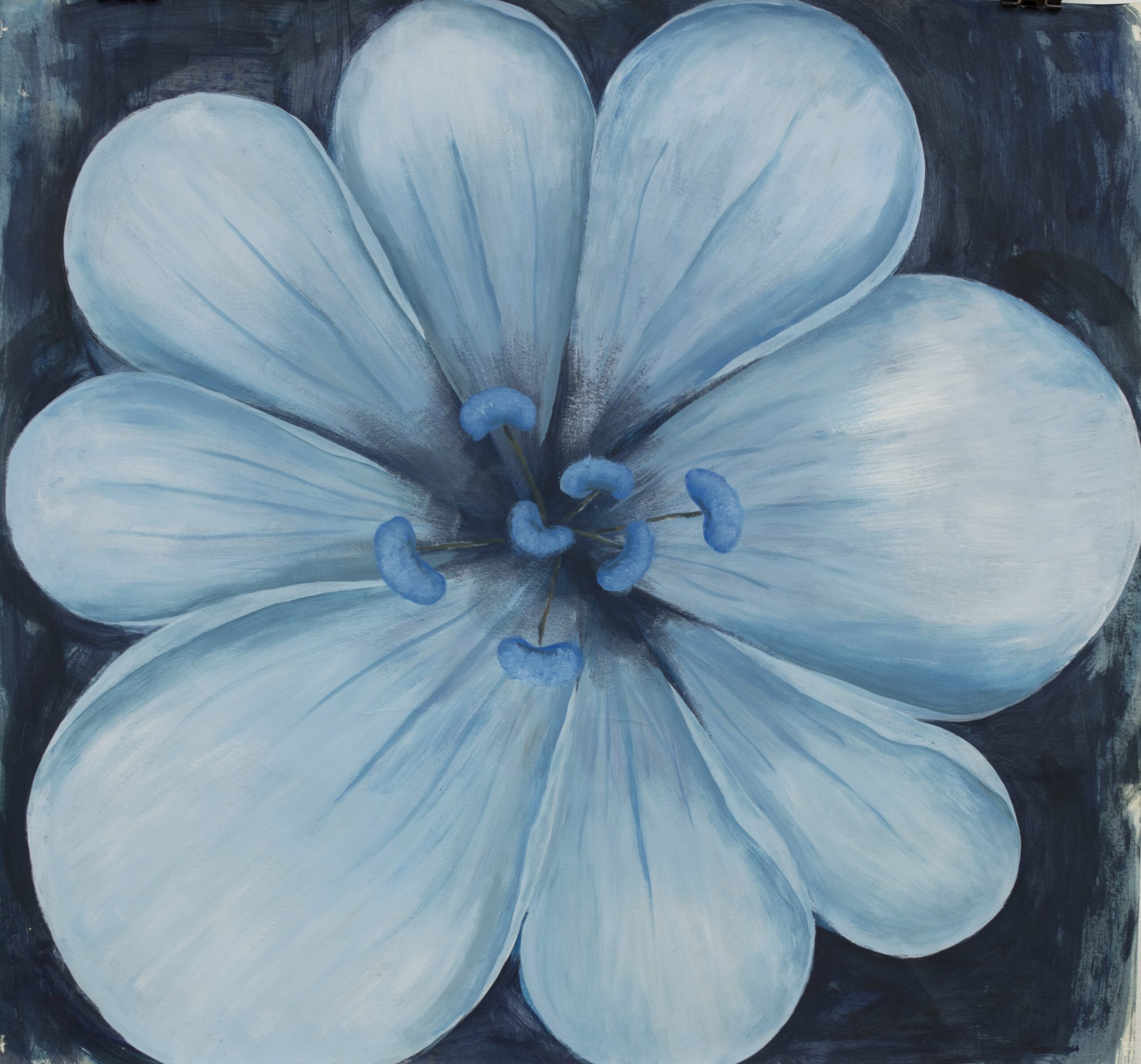 Blaue Blume – Sahrai Fine Art